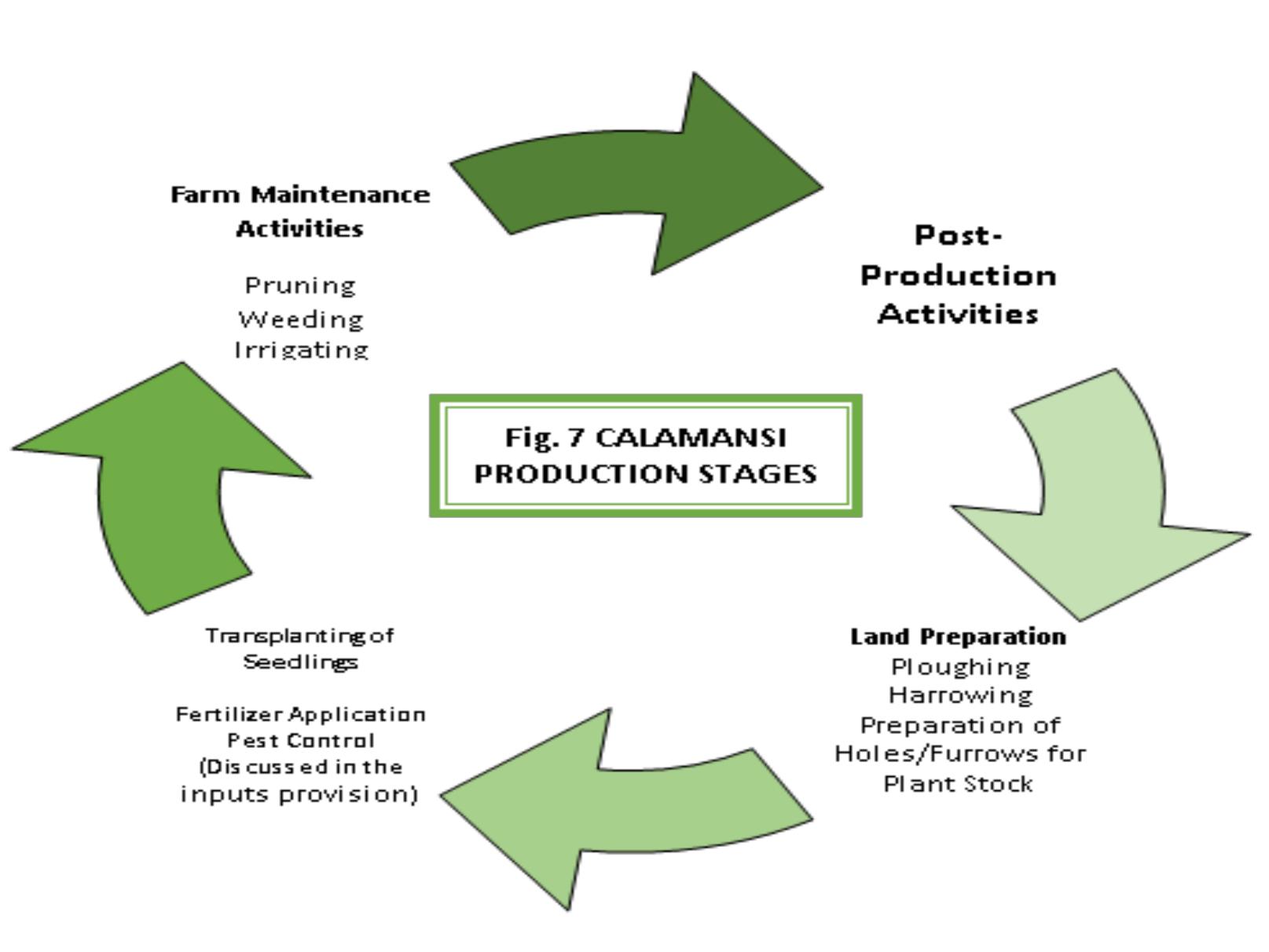 (PDF) Agricultural Economic Production of Philippine Calamansi Industry ...