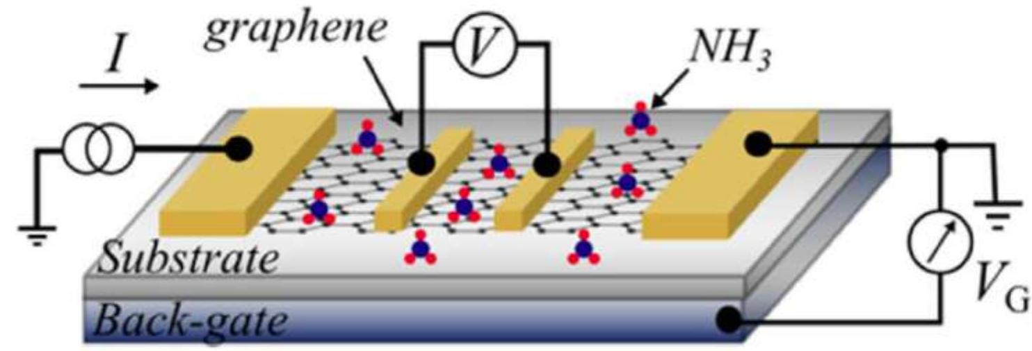 Schematic of a back-gated graphene device. [reproduced with