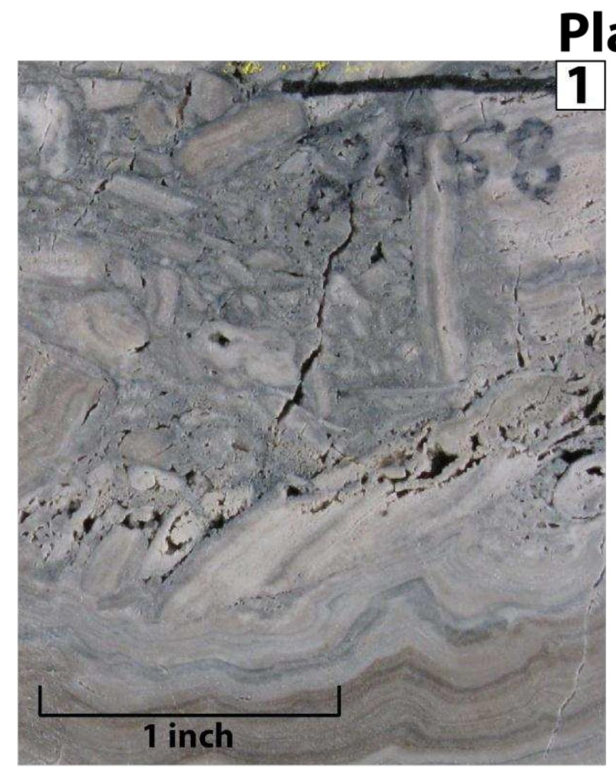 Figure 28 - Depositional Facies and Sequence Stratigraphy of