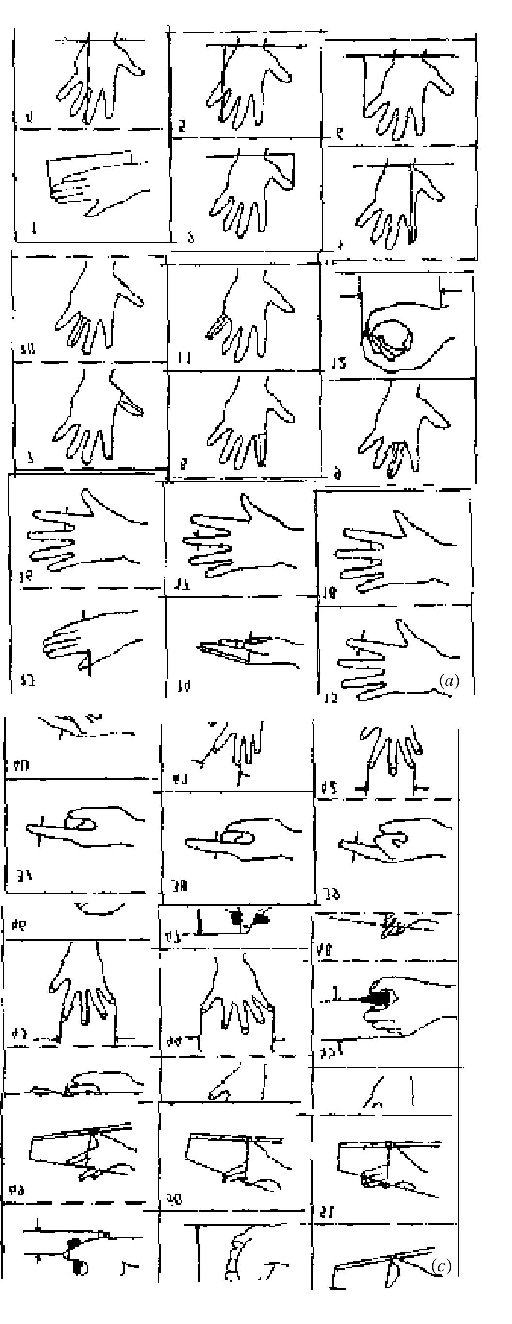 Figure 1 - Hand anthropometry of Indian women