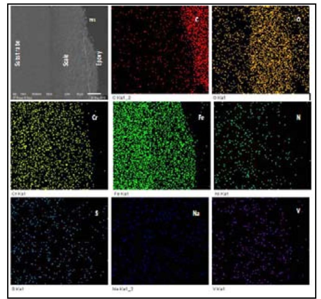 Sei and elemental x-ray mapping of the cross-section of t91