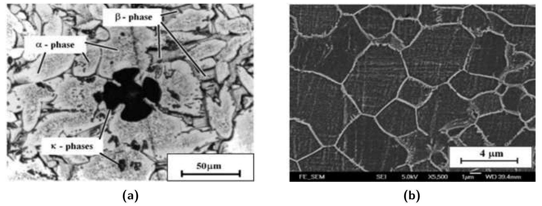 Micrographs of (a) cast microstructure (optical) and (b)