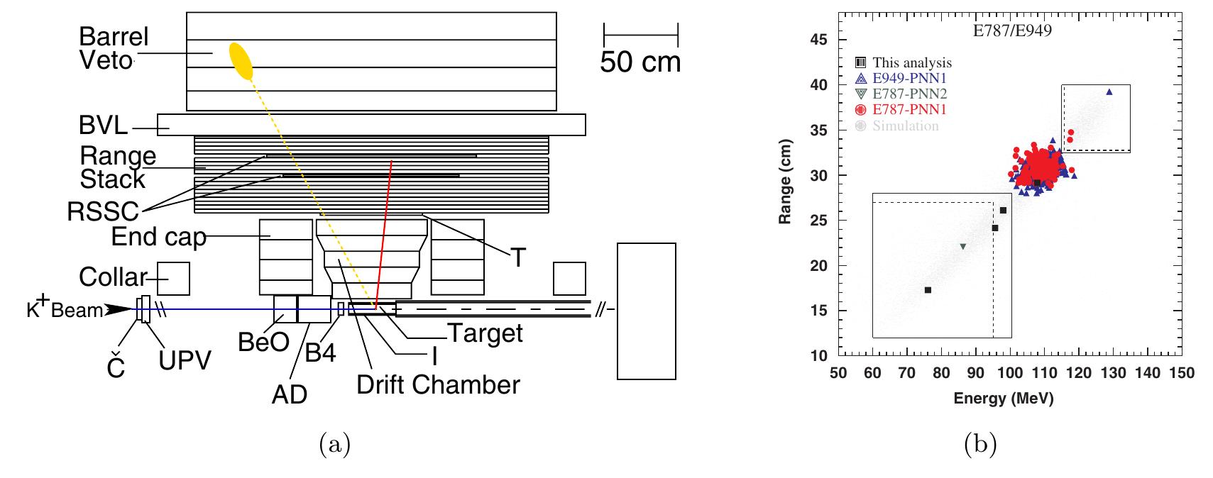 (a) schematic side view of the upper half of the bnl e949