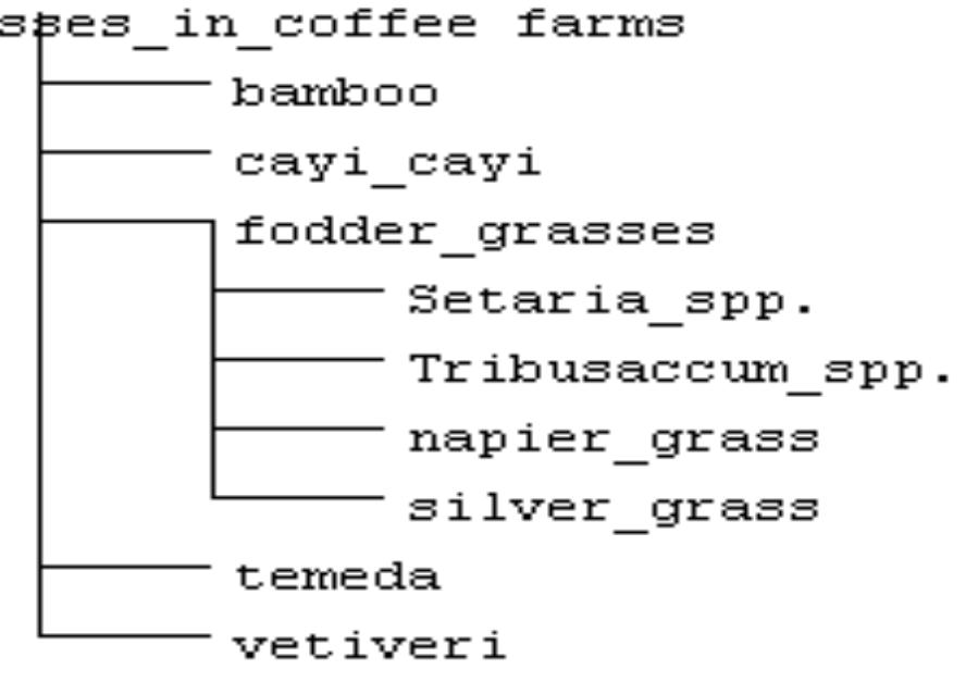 A hierarchy diagram to show farmers’ classification of