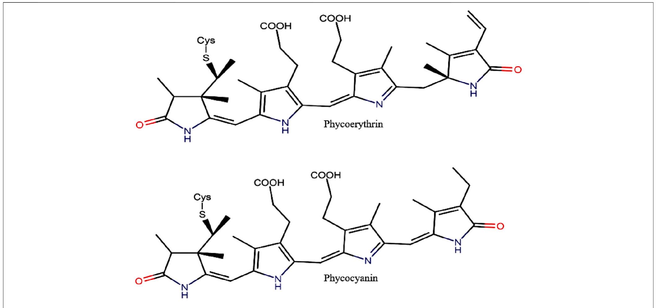 | chemical structure of pe and pc (adapted from wilk et al.,