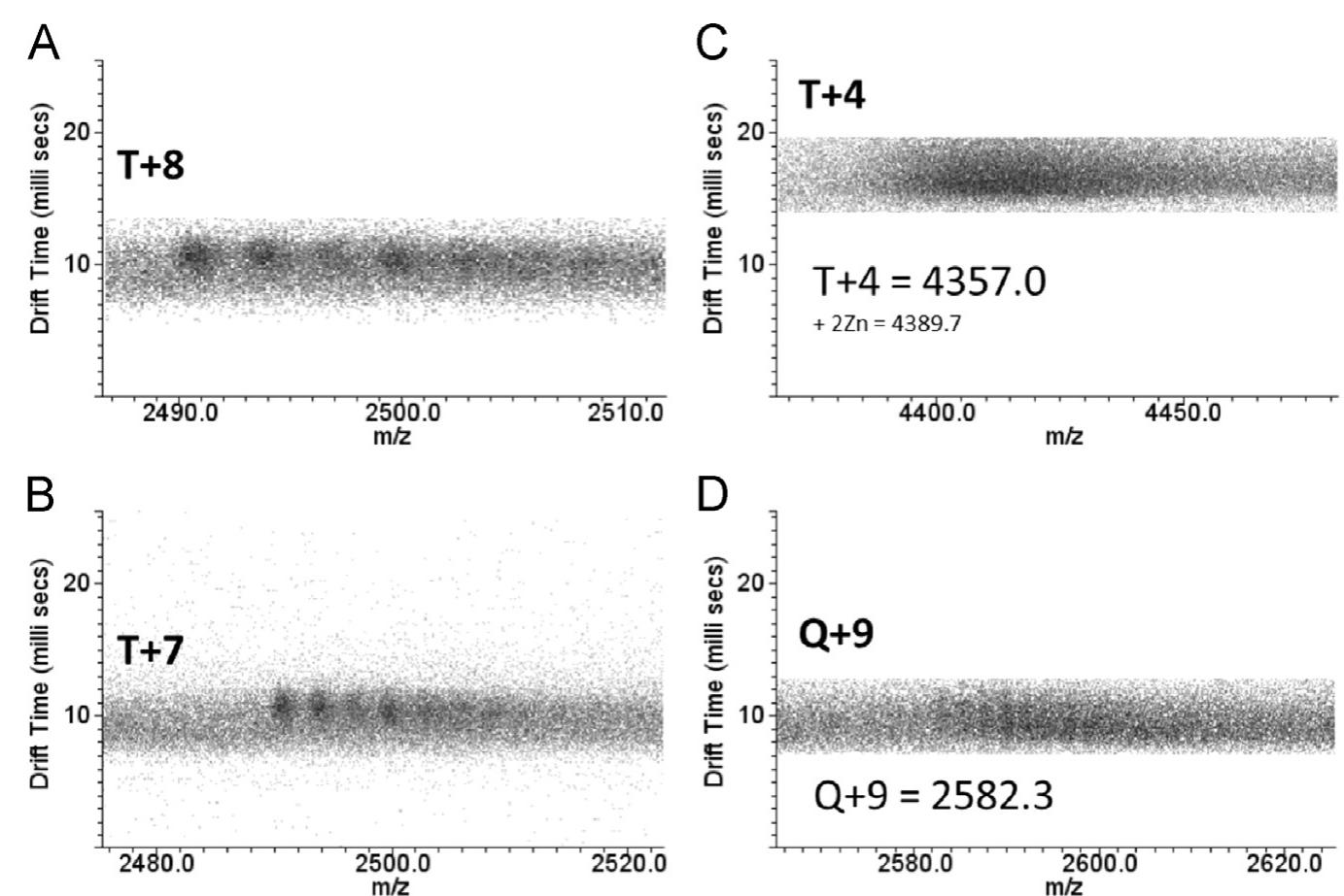 Esi-ims-ms spectra of regular insulin - trimer and tetramer.