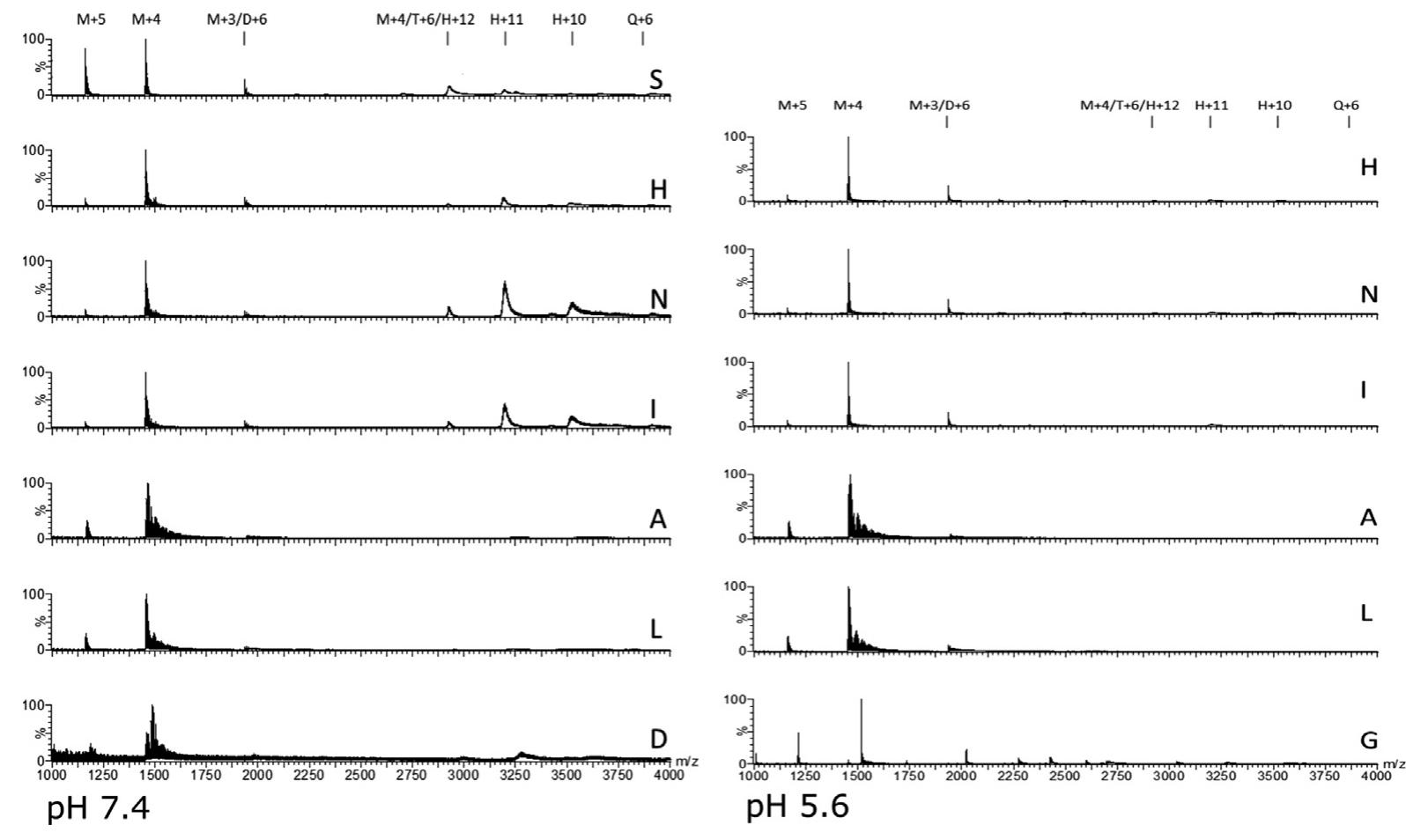 Esi-ms spectra of insulin at ph 7.4 and ph 5.6. s