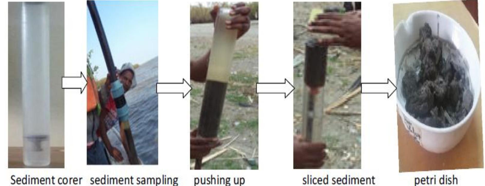 -2. sediment sampling producers using modified sediment