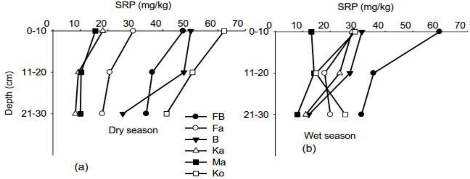-3. vertical profiles of sediment srp from the six different
