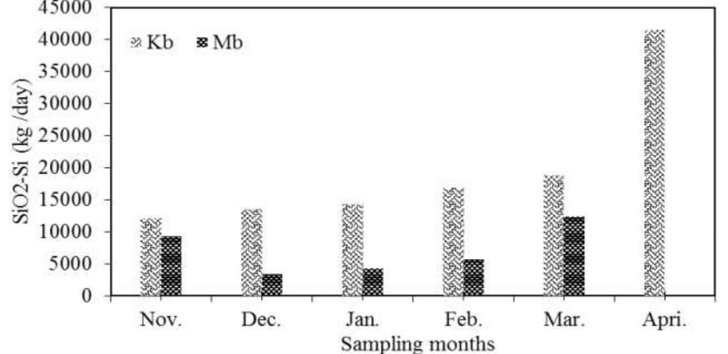 -9. external sio-si load dynamics from the meki river (mp)
