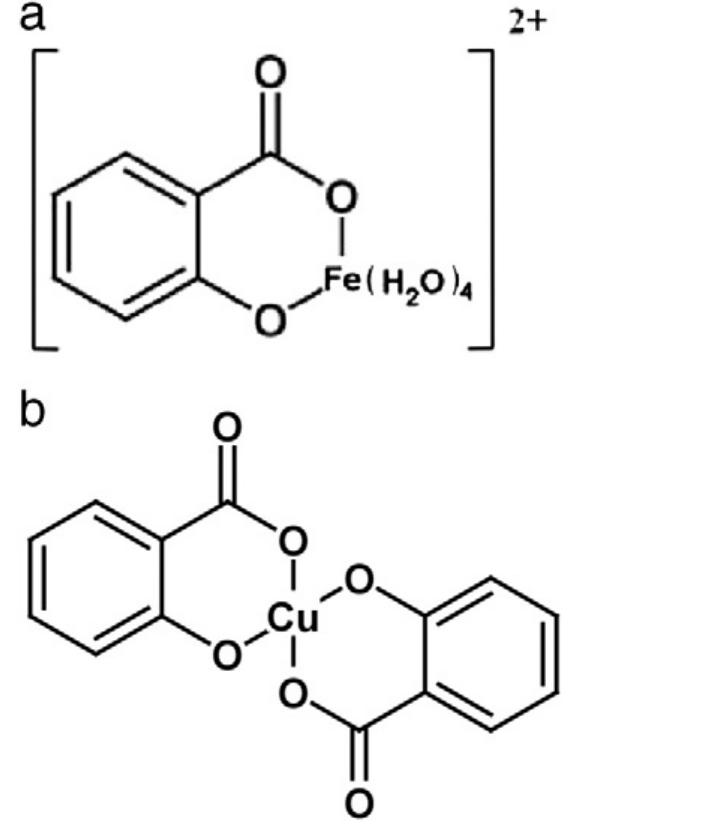 Chemical structures of fe(iii)-salicylate (a), and