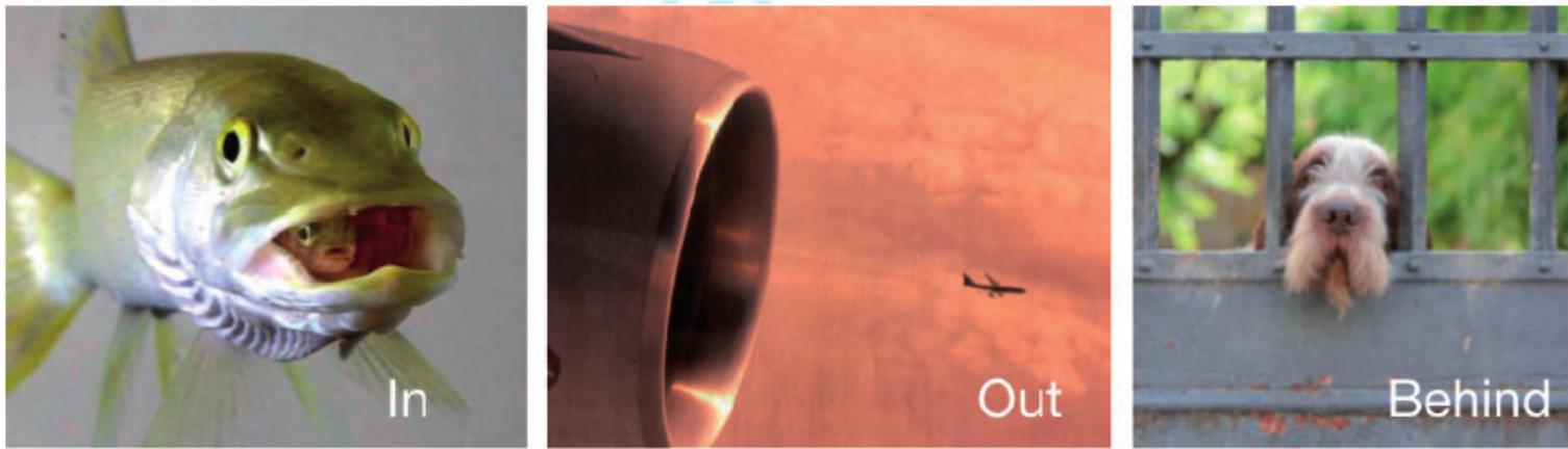 Prepositions. in vision, prepositions represent the spatial