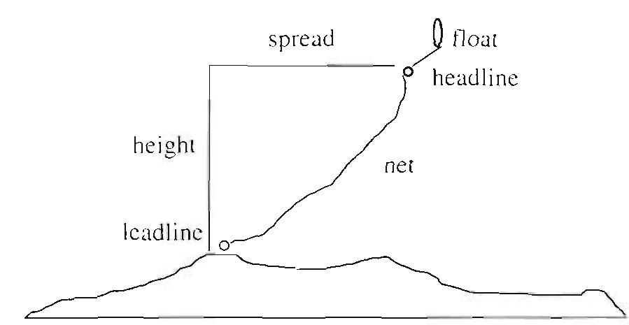 Diagramatic cross-section of the set nets, showing the