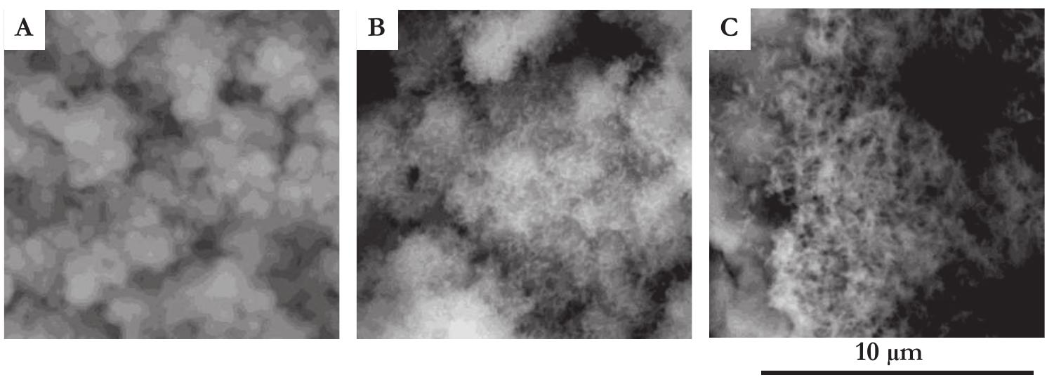 Images A To C Show The Degradation Of The Fouling Layer
