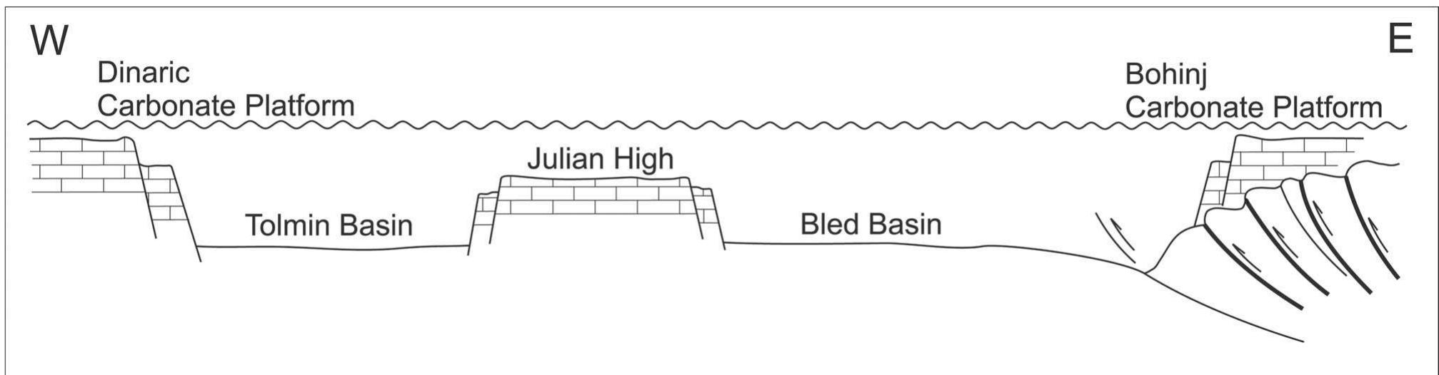 Schematic cross-section of paleogeographic units in western