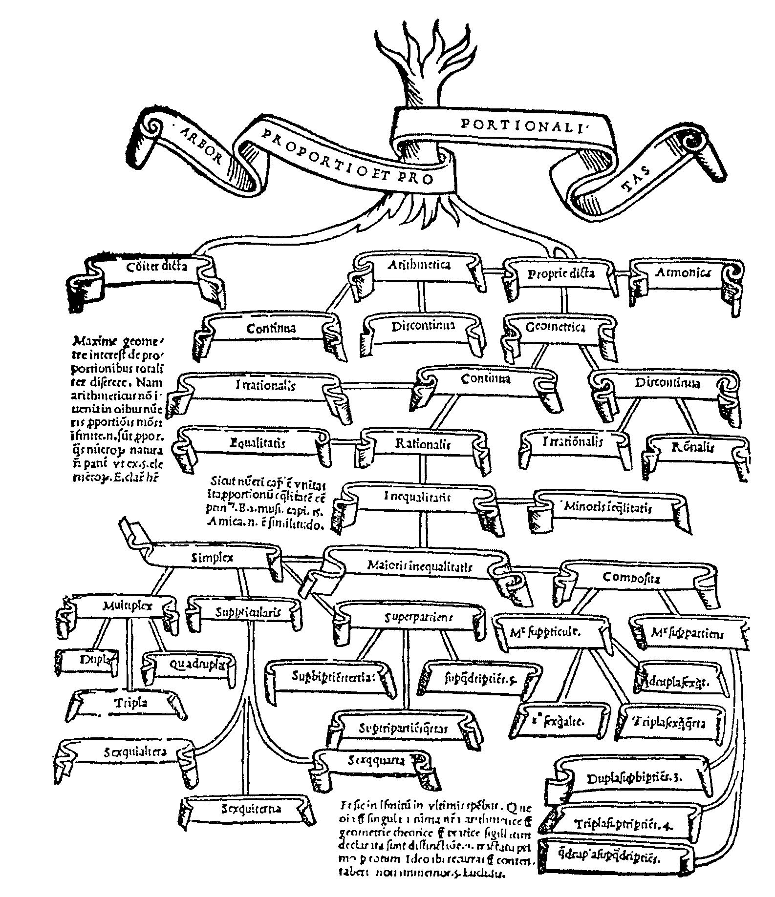 B: diagram of proportions in l. pactolt (1509) de divina
