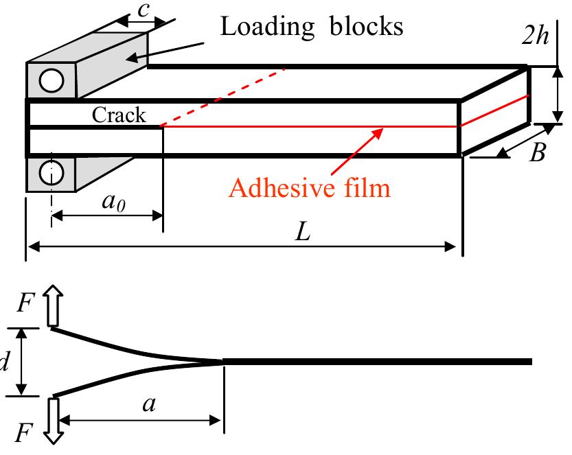 Dcb test. specimen and free body diagram. the loading and