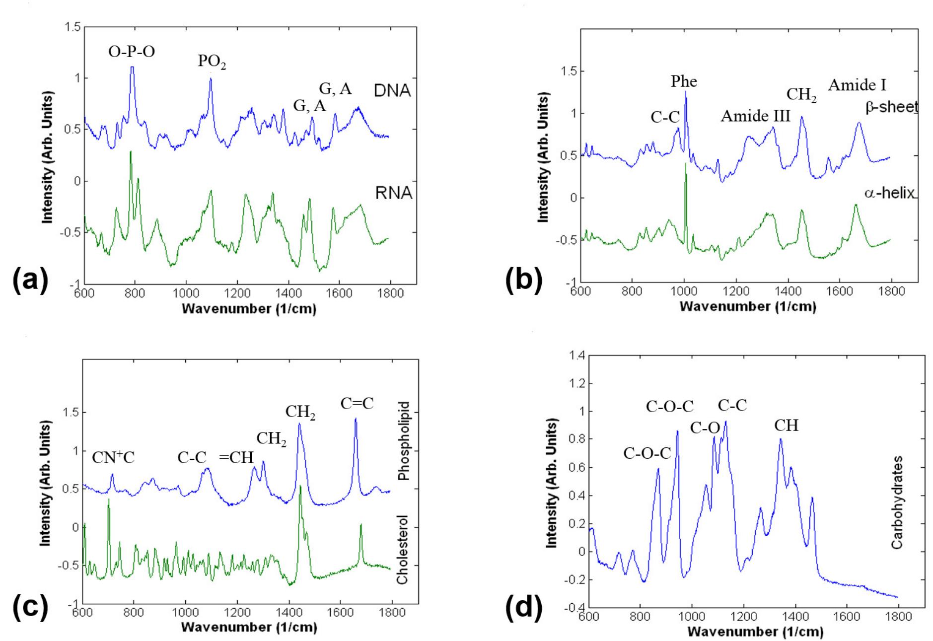Raman spectra of biological materials in the fingerprint