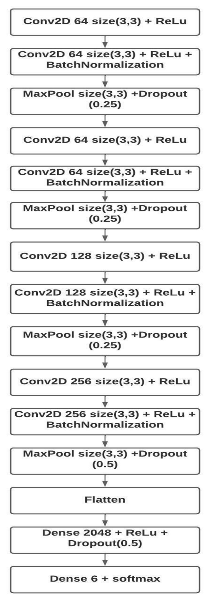Cnn architecture of proposed model