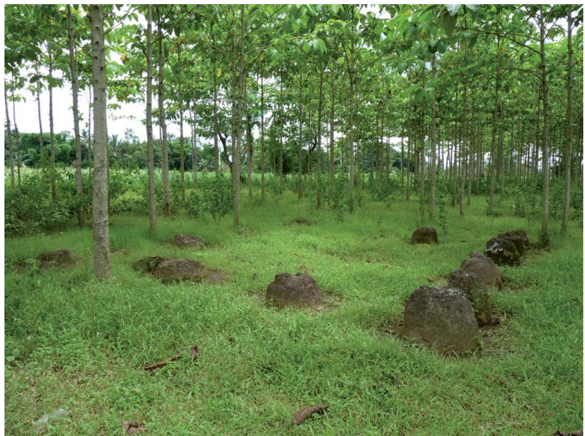 Figure 14 - Indonesian Megaliths: A Forgotten Cultural