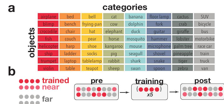 Figure 4 - Common object representations for visual