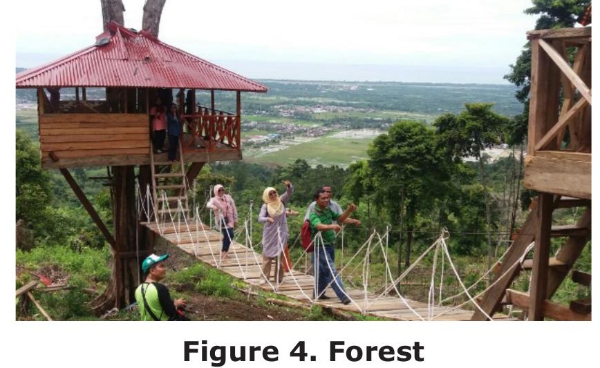 Figure 4 - The Role of Triple Helix Actors for Agro Tourism