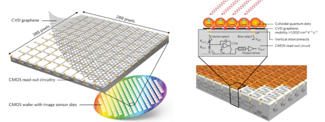 Cmos integration of cvd graphene with image-sensor readout