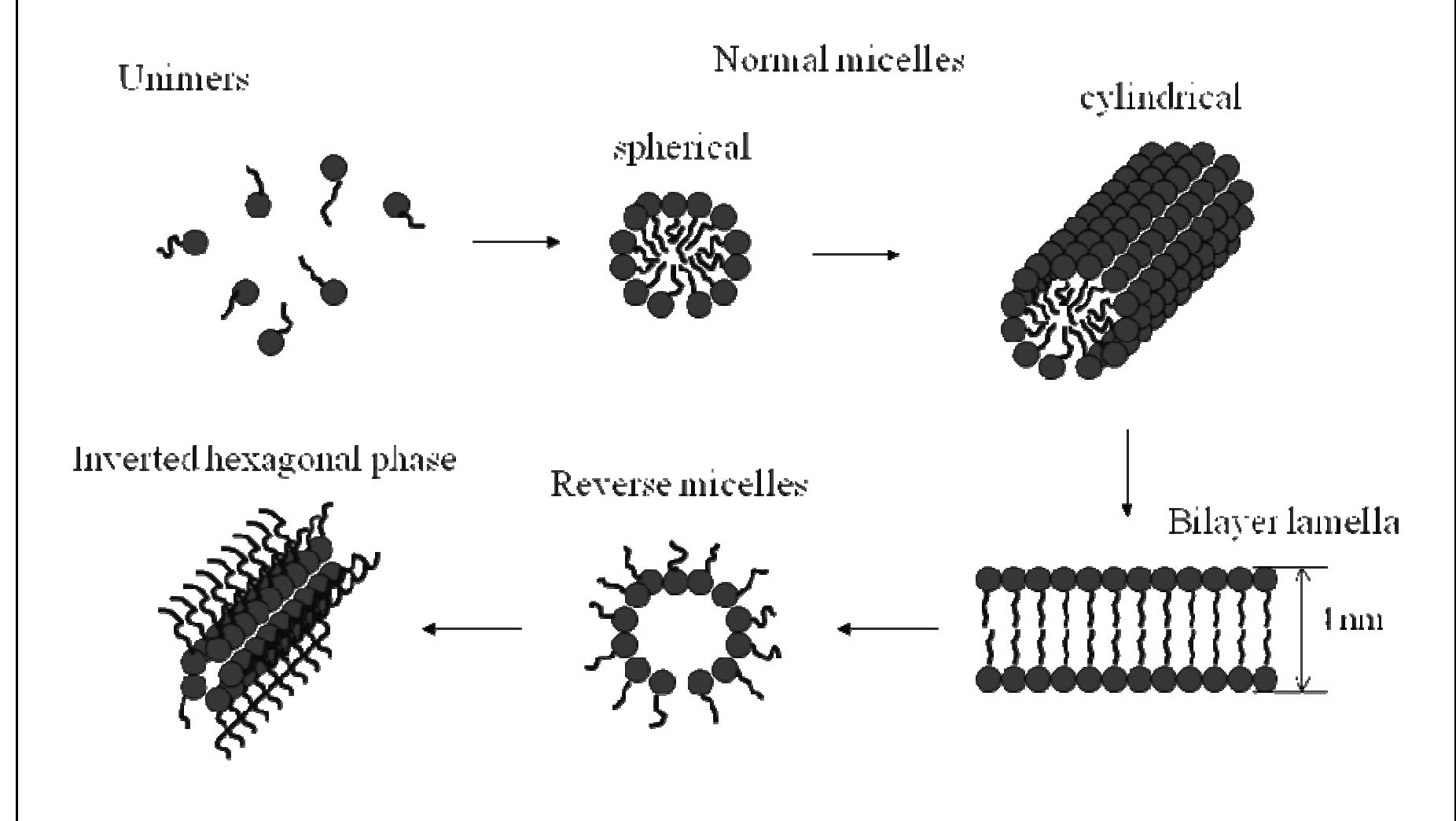 1: schematic of various types of micellar structures due to
