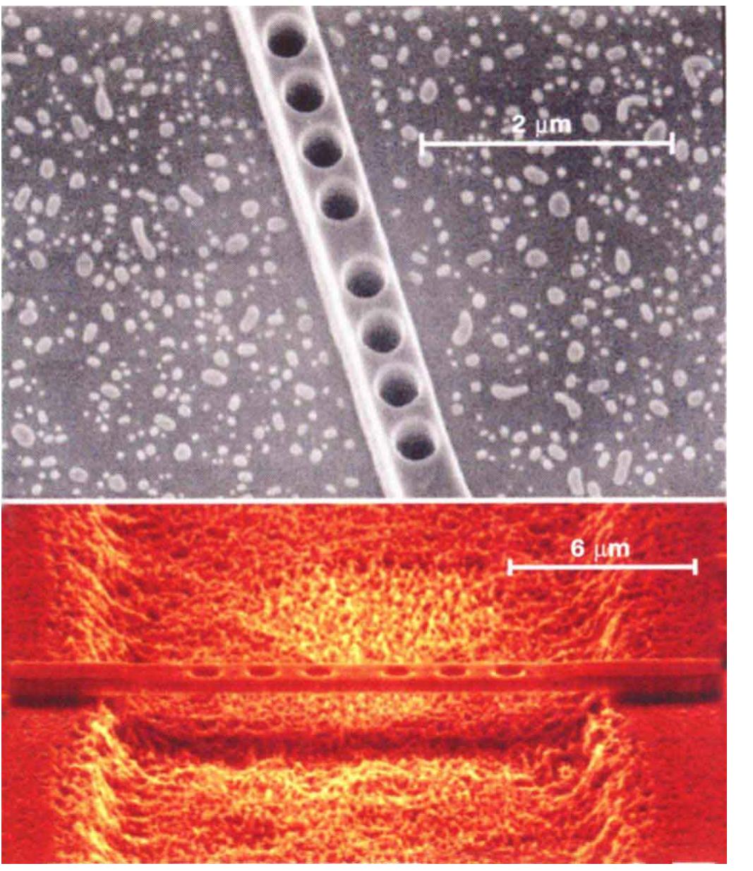 Scanning electron micrographs of two embodiments of a Scanning electron micrographs of two embodiments of a