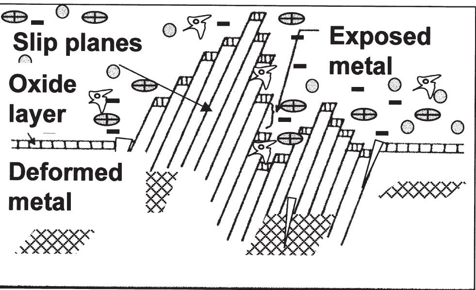 Schematic illustration of the formation of fresh slip planes