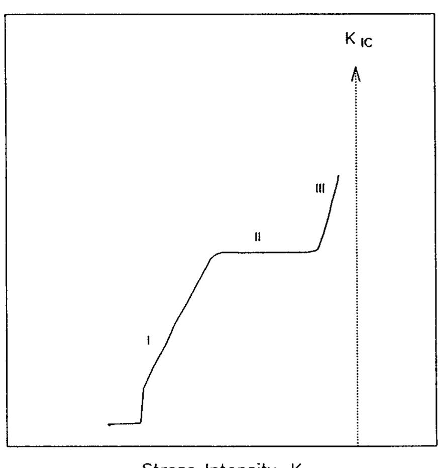 Schematic illustration of regions i, ii and iii