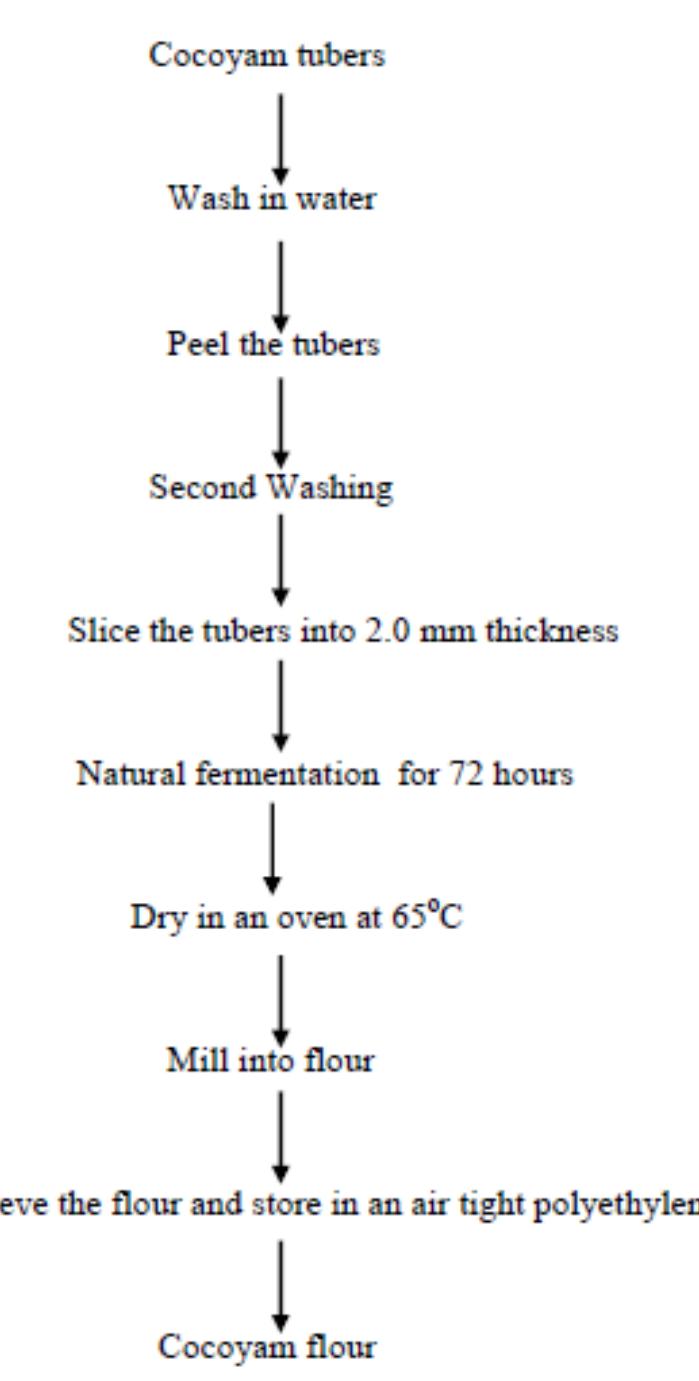 Flowchart for the production of cocoyam flour