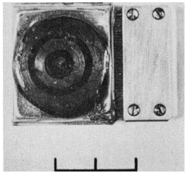 Figure 1 - from The University of Melbourn/Nucleus Cochlear