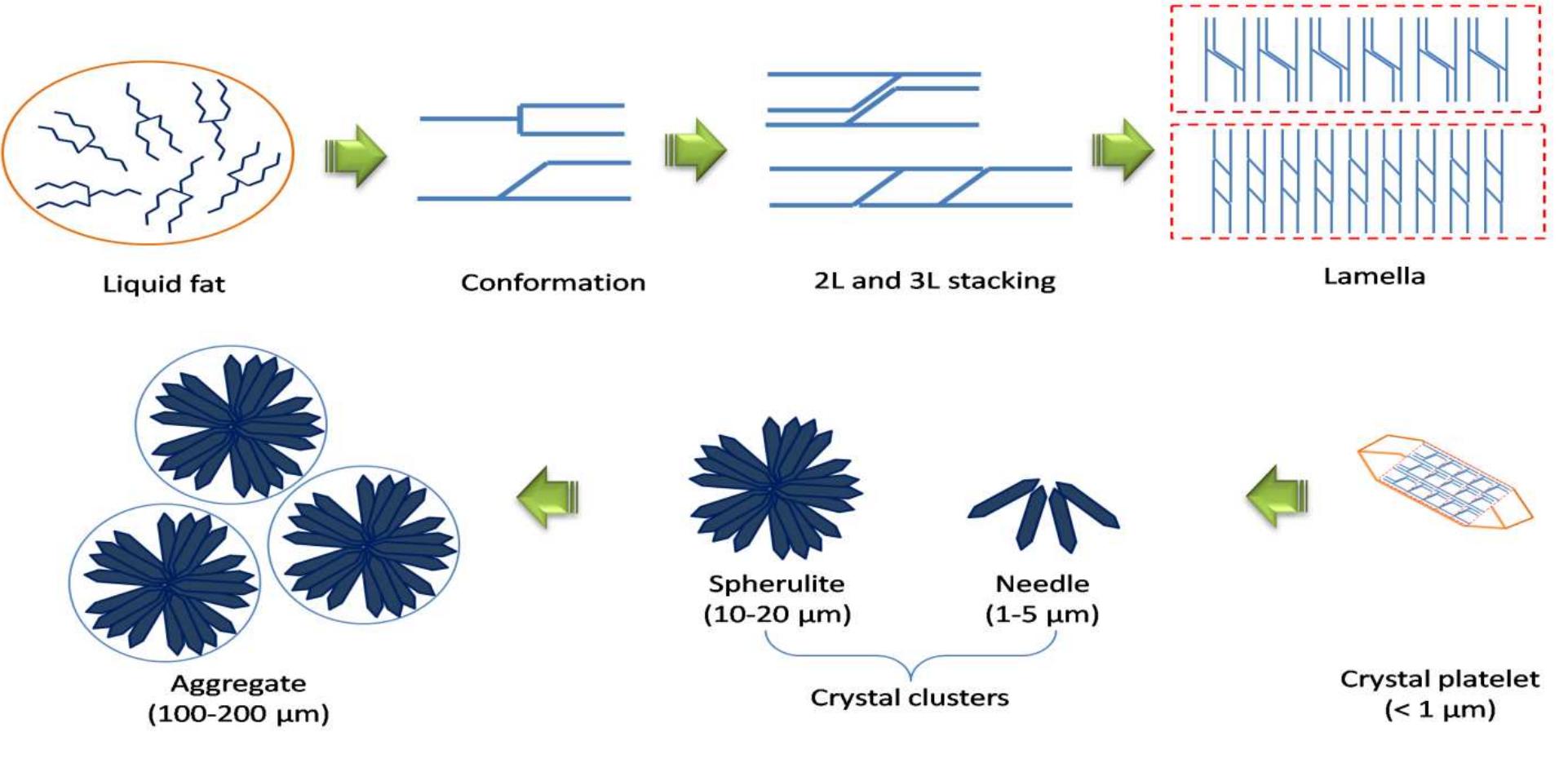 40,42,44 figure 2. crystal growth in fat crystallization.