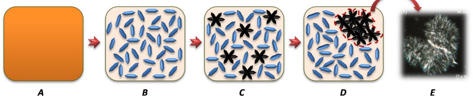 The formation of granular crystals in palm based shortenings