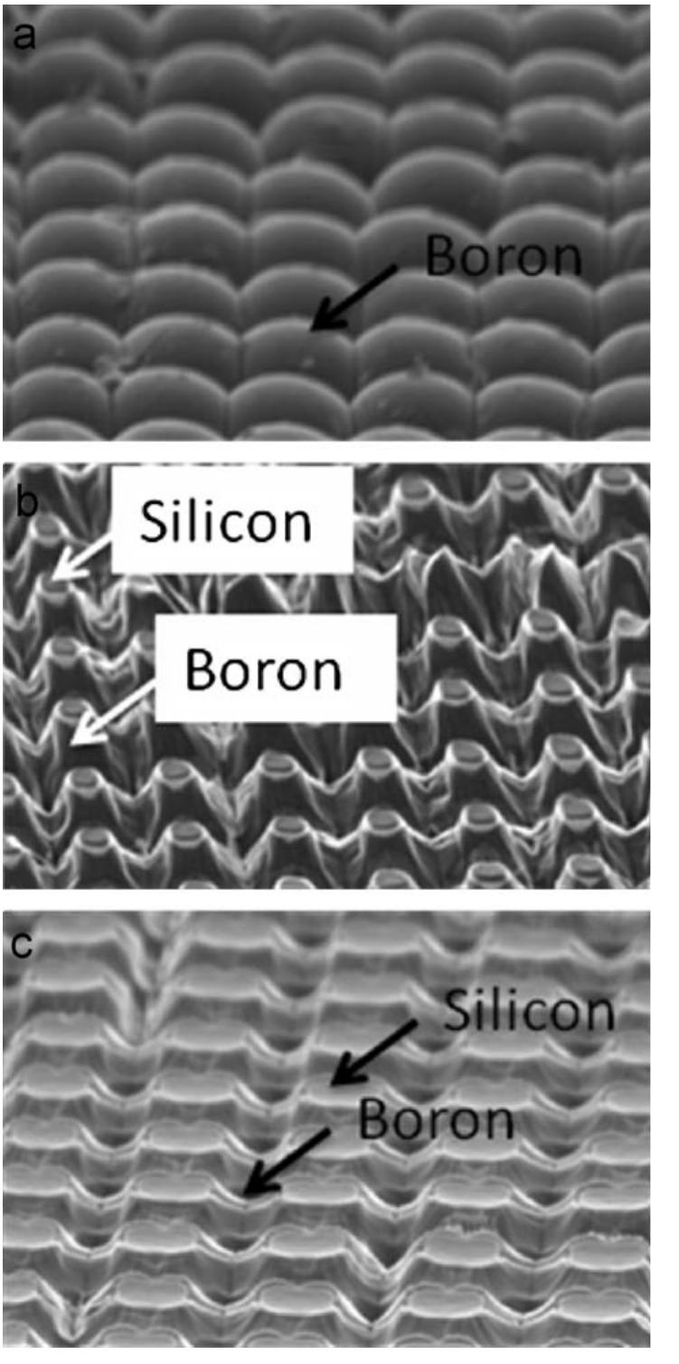 Typical sem images of ‘boron filled pillars (a) before