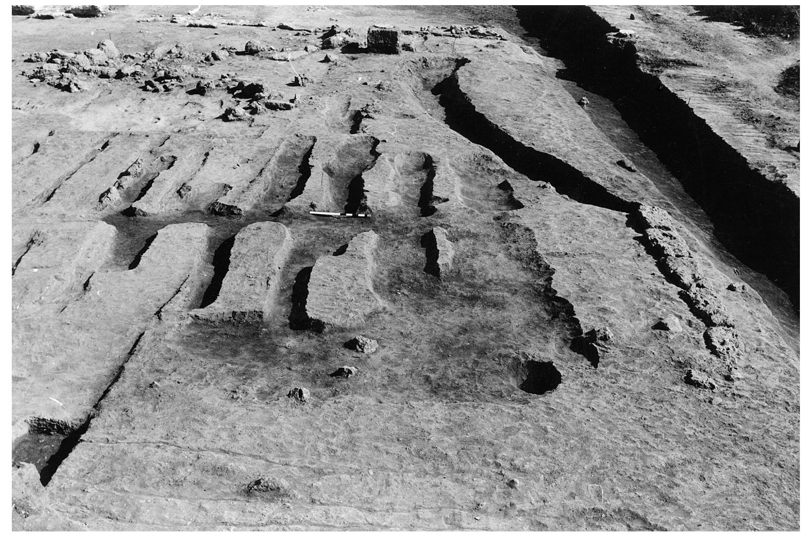 Early christian farming trenches in the area of the heroén,