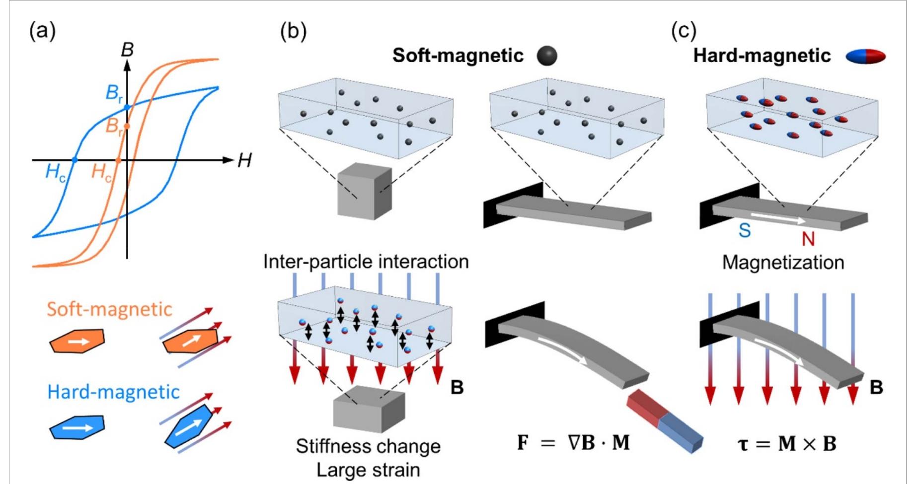 Magnetic particle options commonly used for magnetic soft