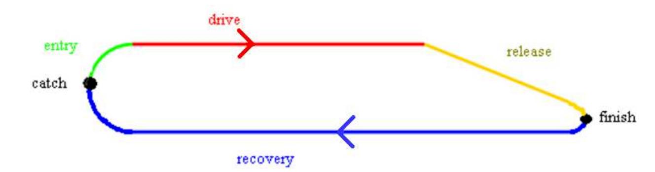 6: the handle path of the four phases in a rowing cycle,