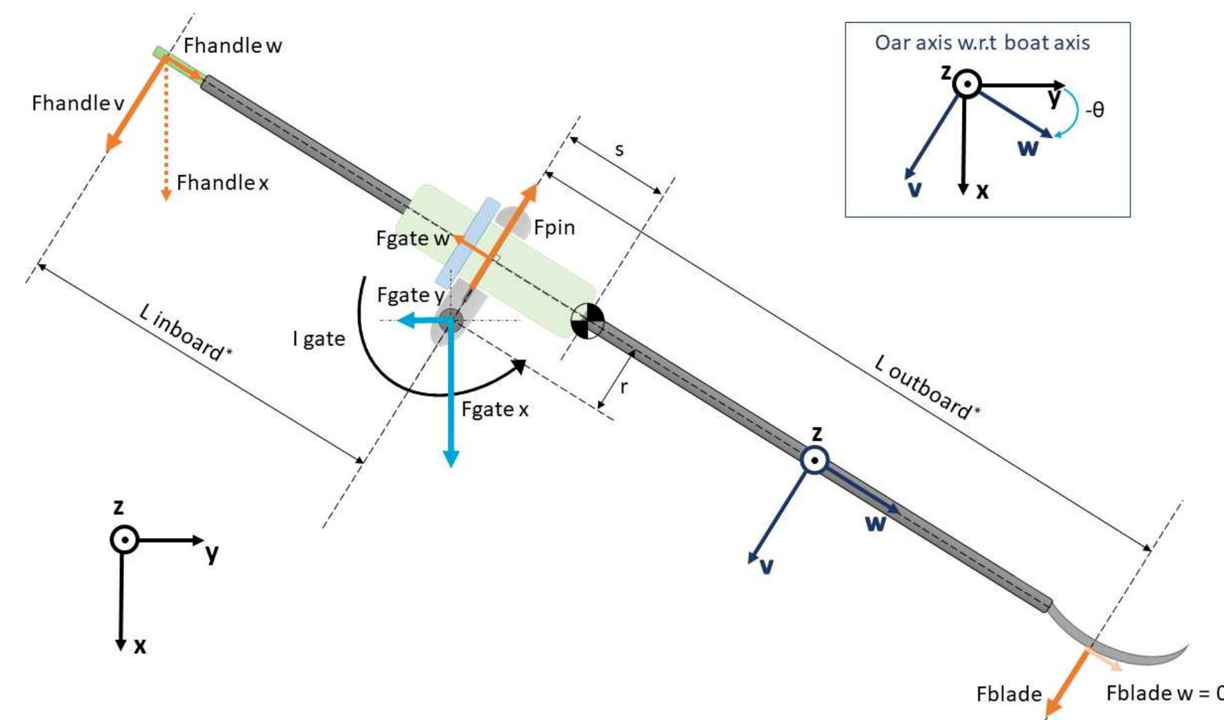 5: the free body diagram of the oar, with the defined