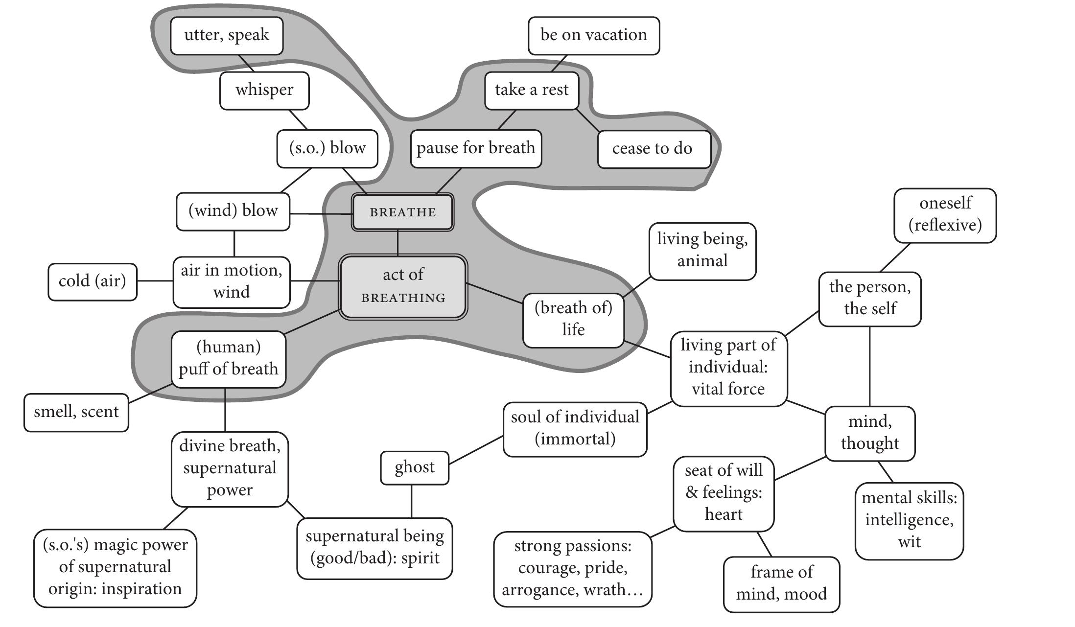 Figure 13 - Semantic maps and the typology of