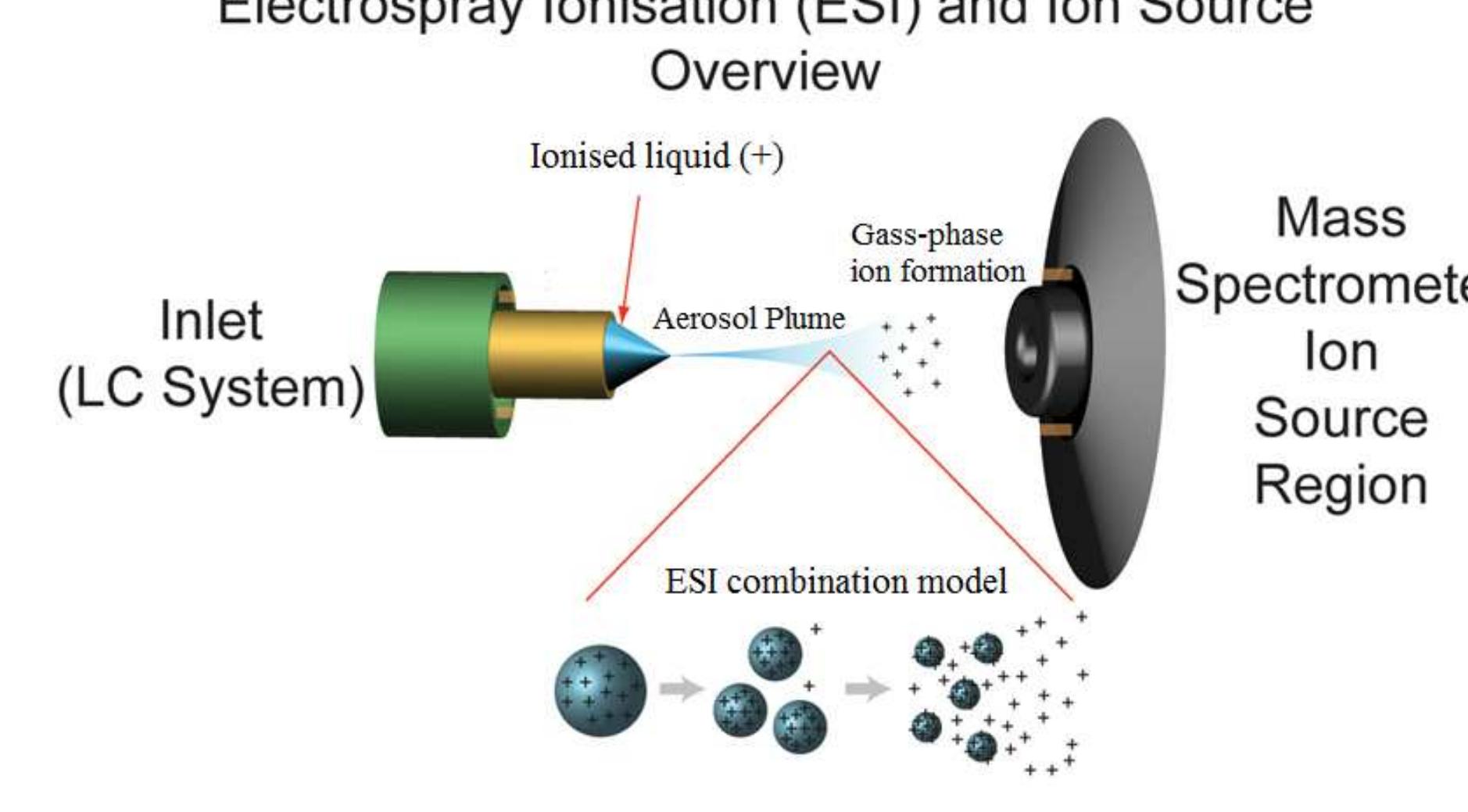 A schematic overview of esi and ion source [41].