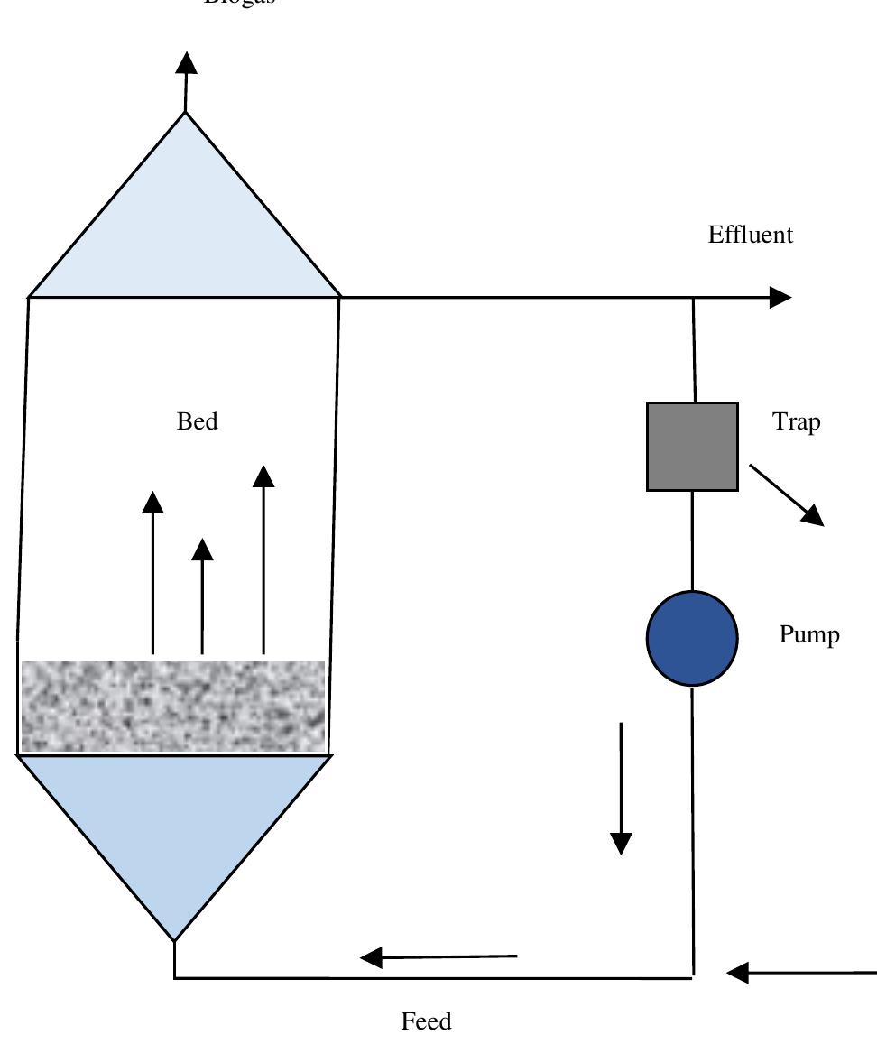 A simplified illustration of anaerobic effluent treatment