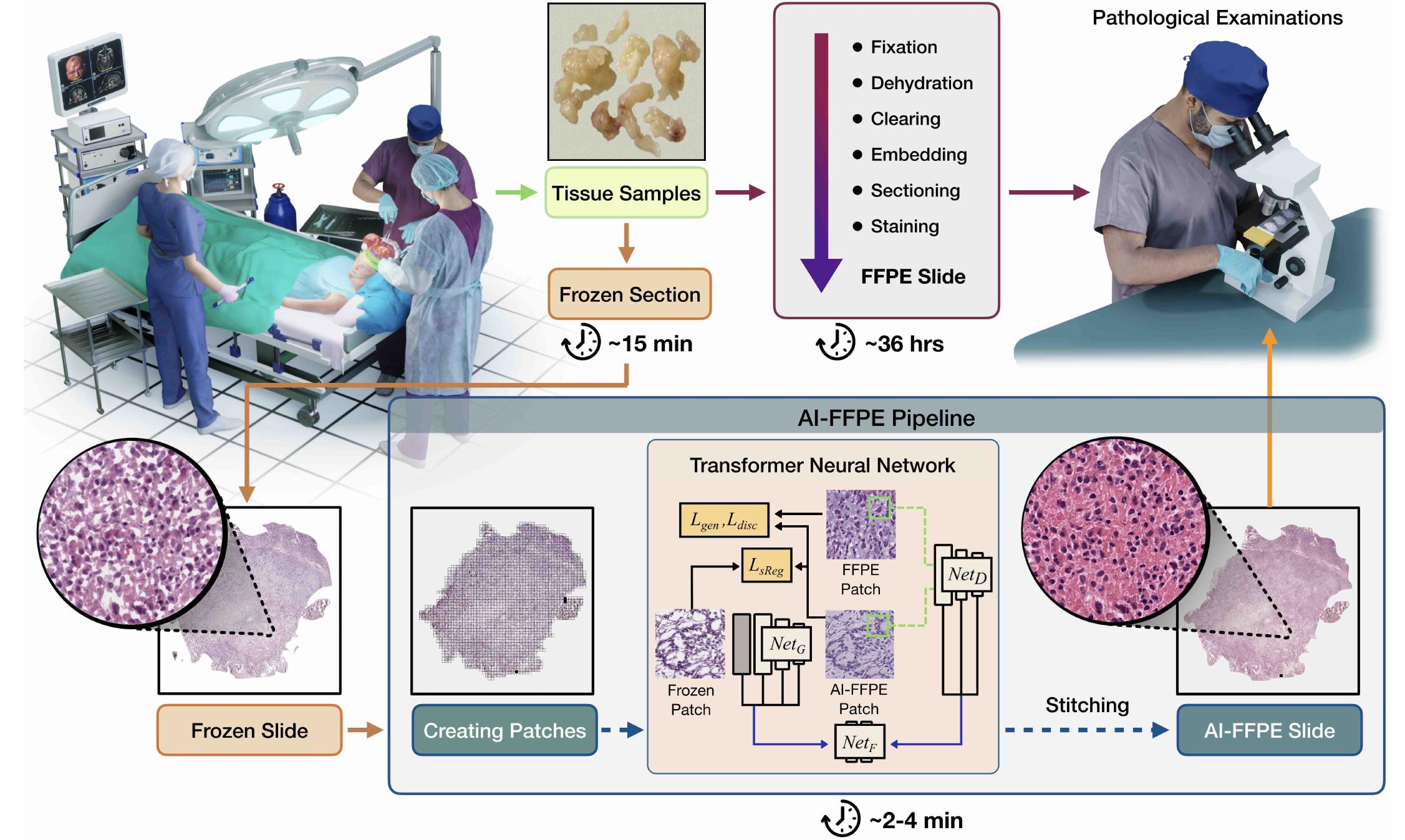 Workflow overview. diagram summarising how ai-ffpe method