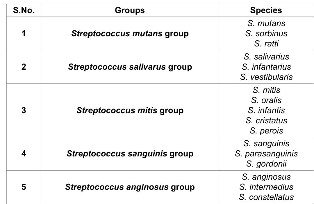 Five Major Groups Of Viridans Group Streptococci [38 68]
