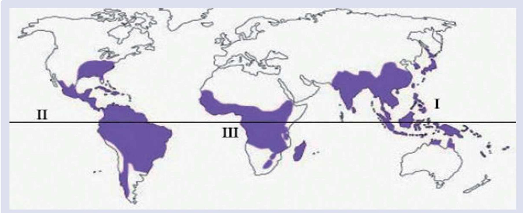 A sketch map of world bamboo distribution.”