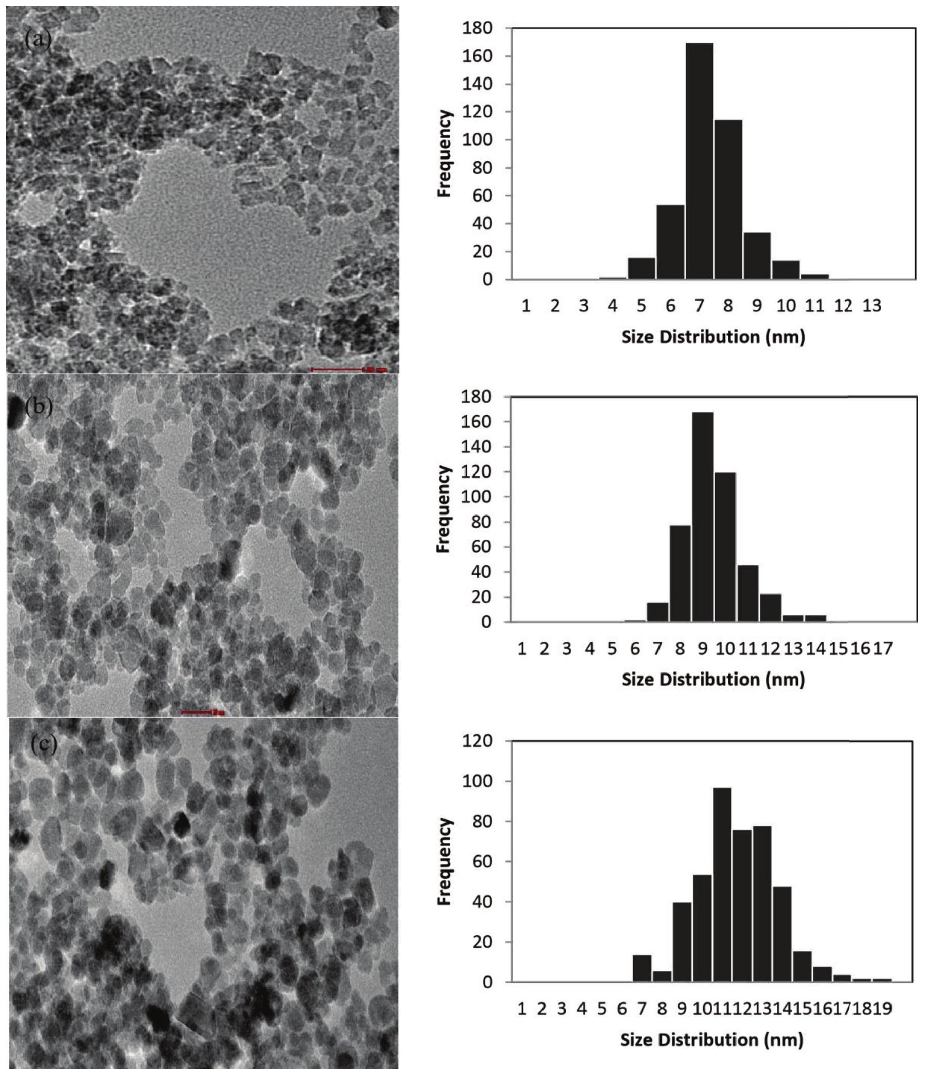 Tem micrograph of magnetic nanoparticles of 100kx synthesis