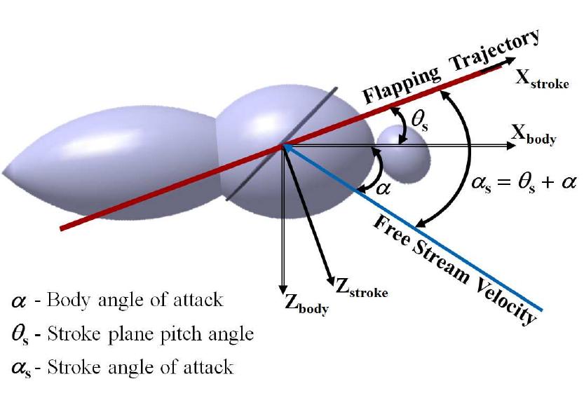 Figure 19 - Characterization Of Flapping Wing Aerodynamics