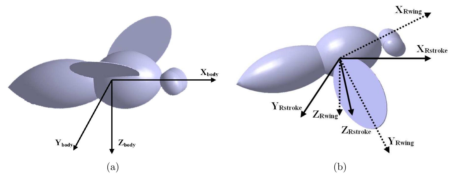 1. micro-flyer model reference frames (a) body frame (b)