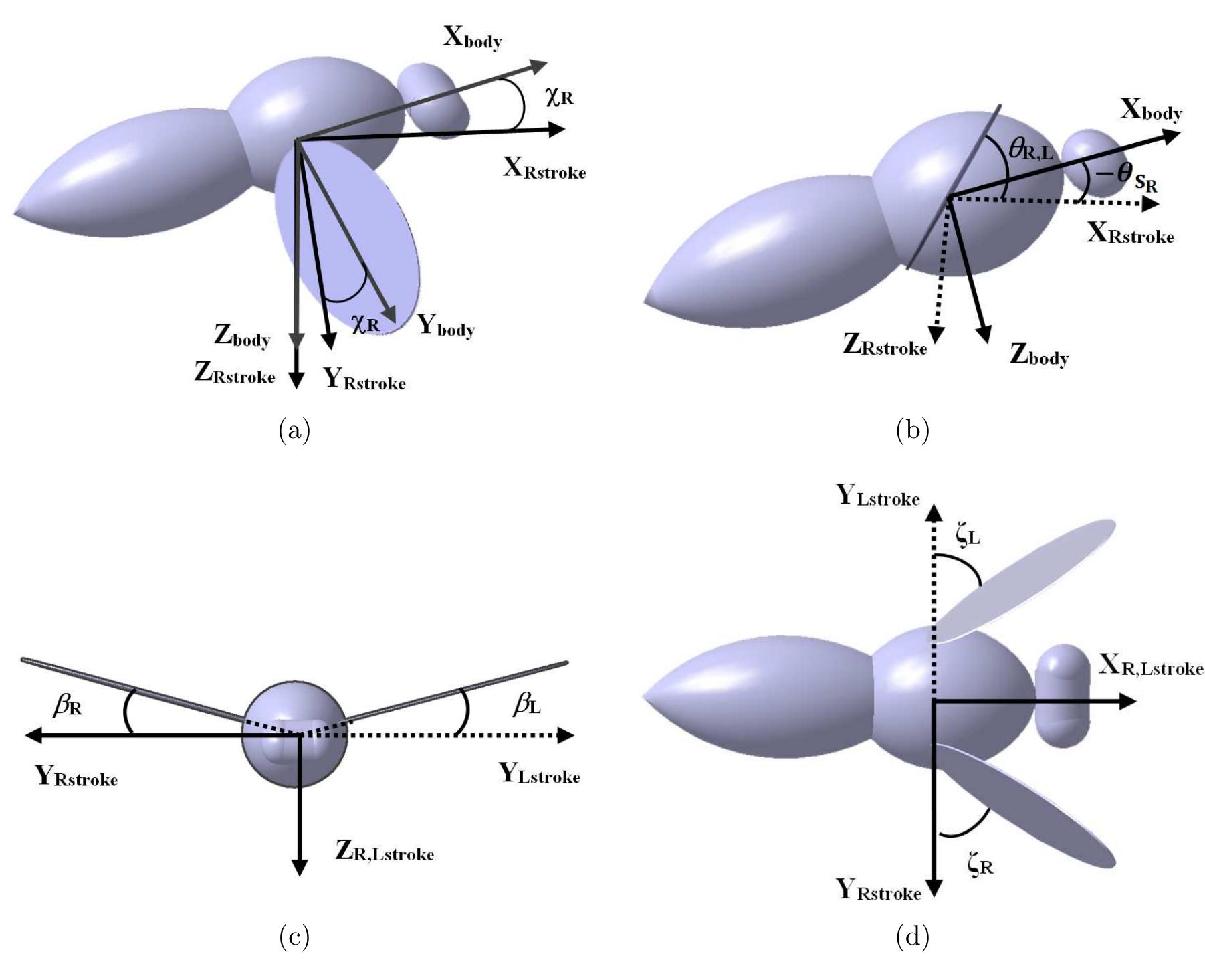 2. different angles of flapping wing micro-flyer model (a)